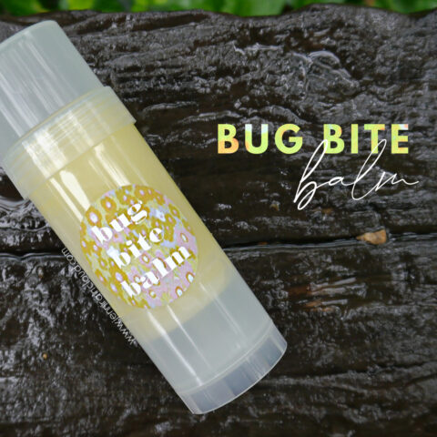 DIY Bug Bite Balm to Relieve Itching & Speed Up Healing! - Jenni Raincloud