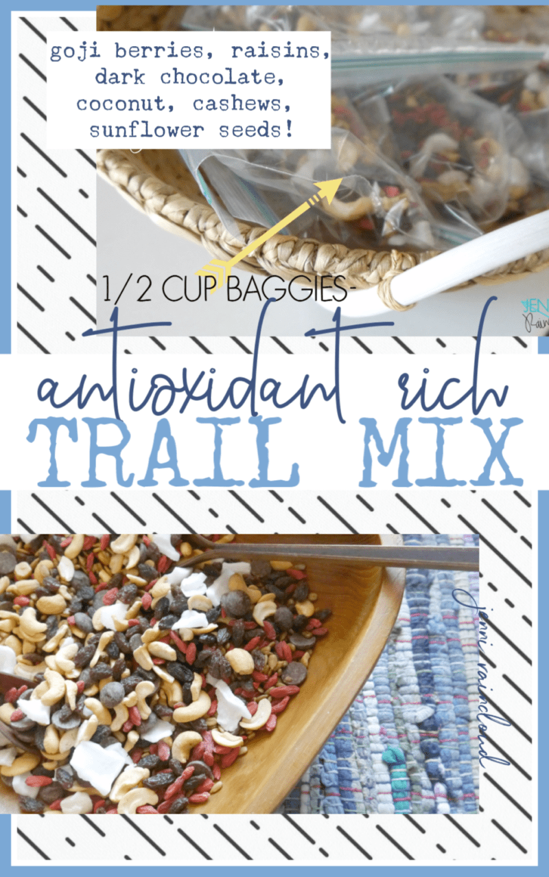 Antioxidant Rich Trail Mix-A little cup of Energy! - Jenni Raincloud