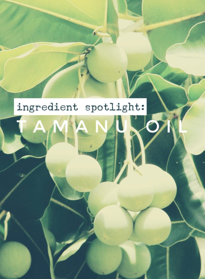 Ingredient Spotlight:Tamanu Oil - Jenni Raincloud